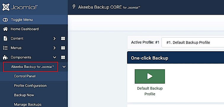 Joomla backup: alternativas y guía paso a paso - IONOS MX