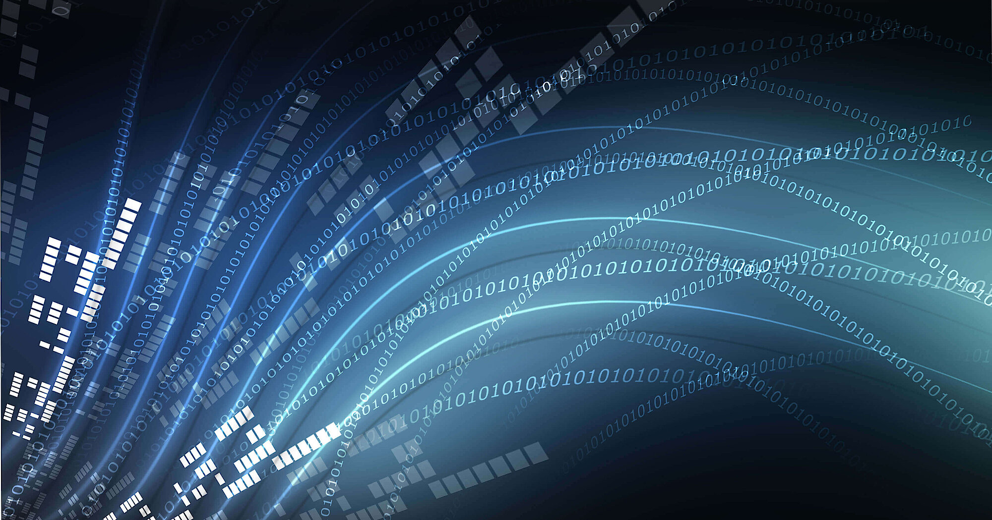 Capa de red: el tercer nivel del modelo OSI - IONOS México