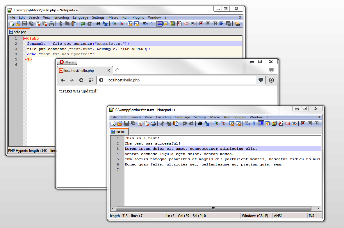 Tutorial de PHP: fundamentos básicos para principiantes - IONOS MX